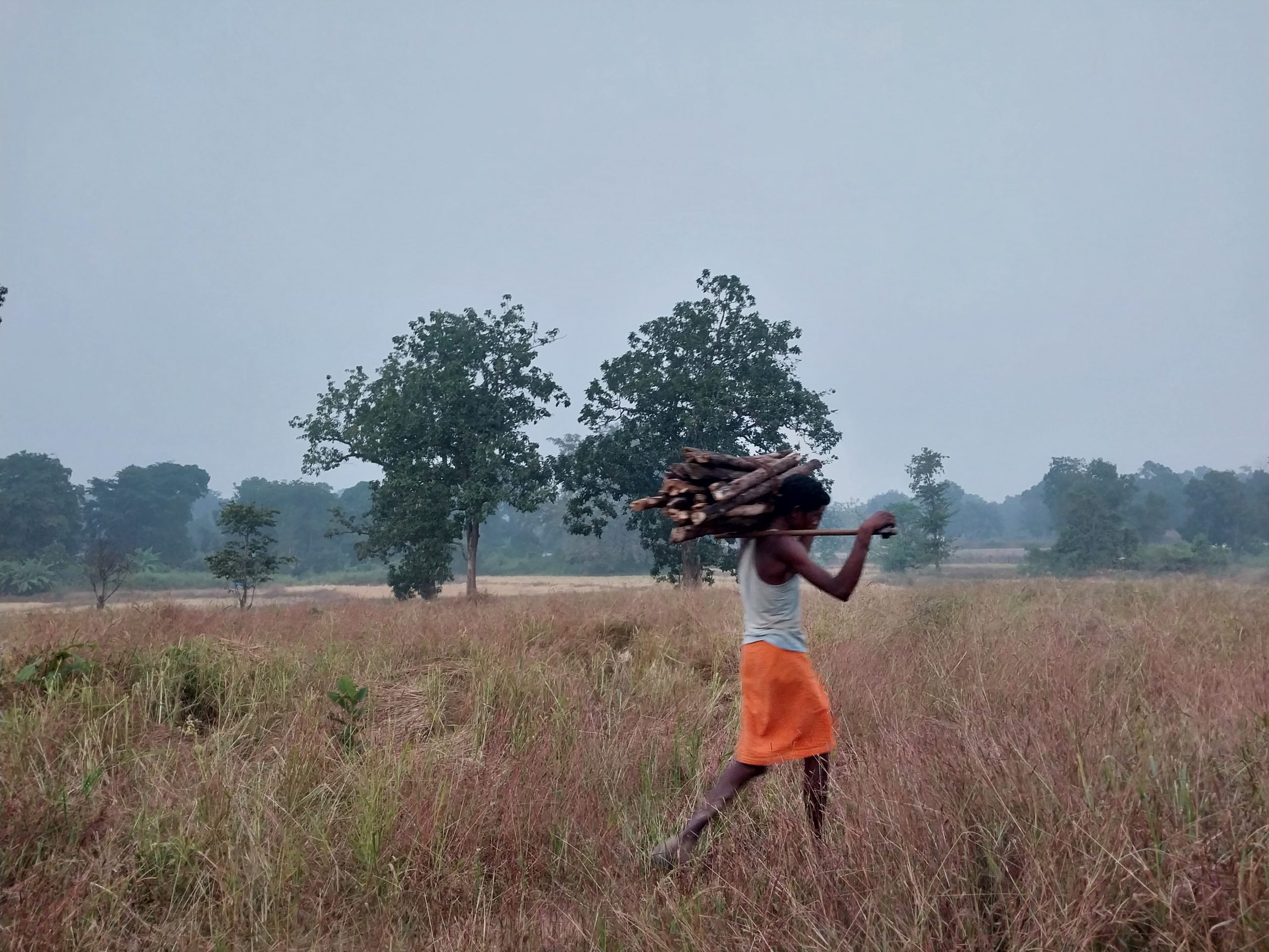 Landscape project aims to restore Kanger Valley | Tehelka