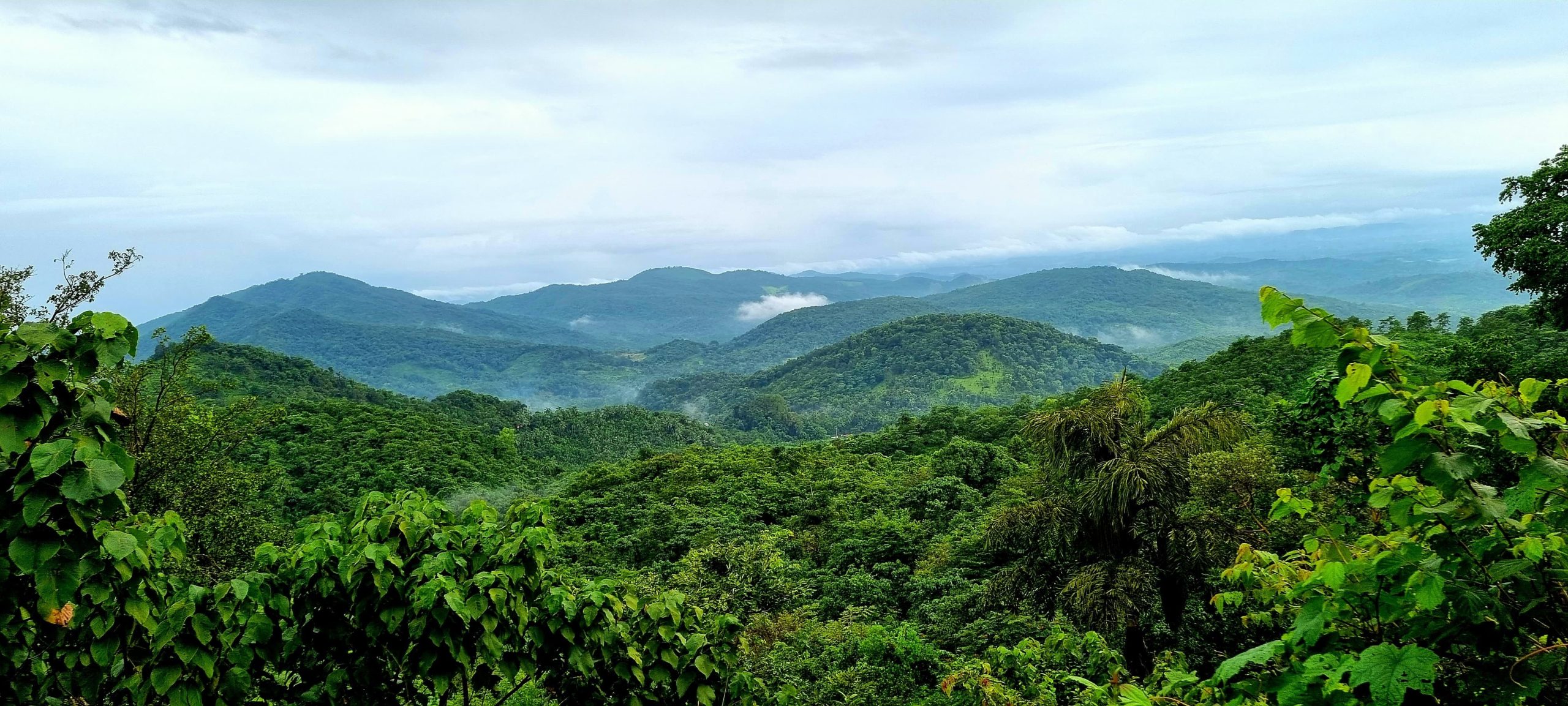 The importance of conservation reserves | Tehelka