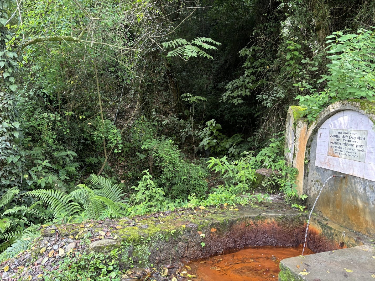 Why Himalayan springs that nurture life and culture are dying | Tehelka