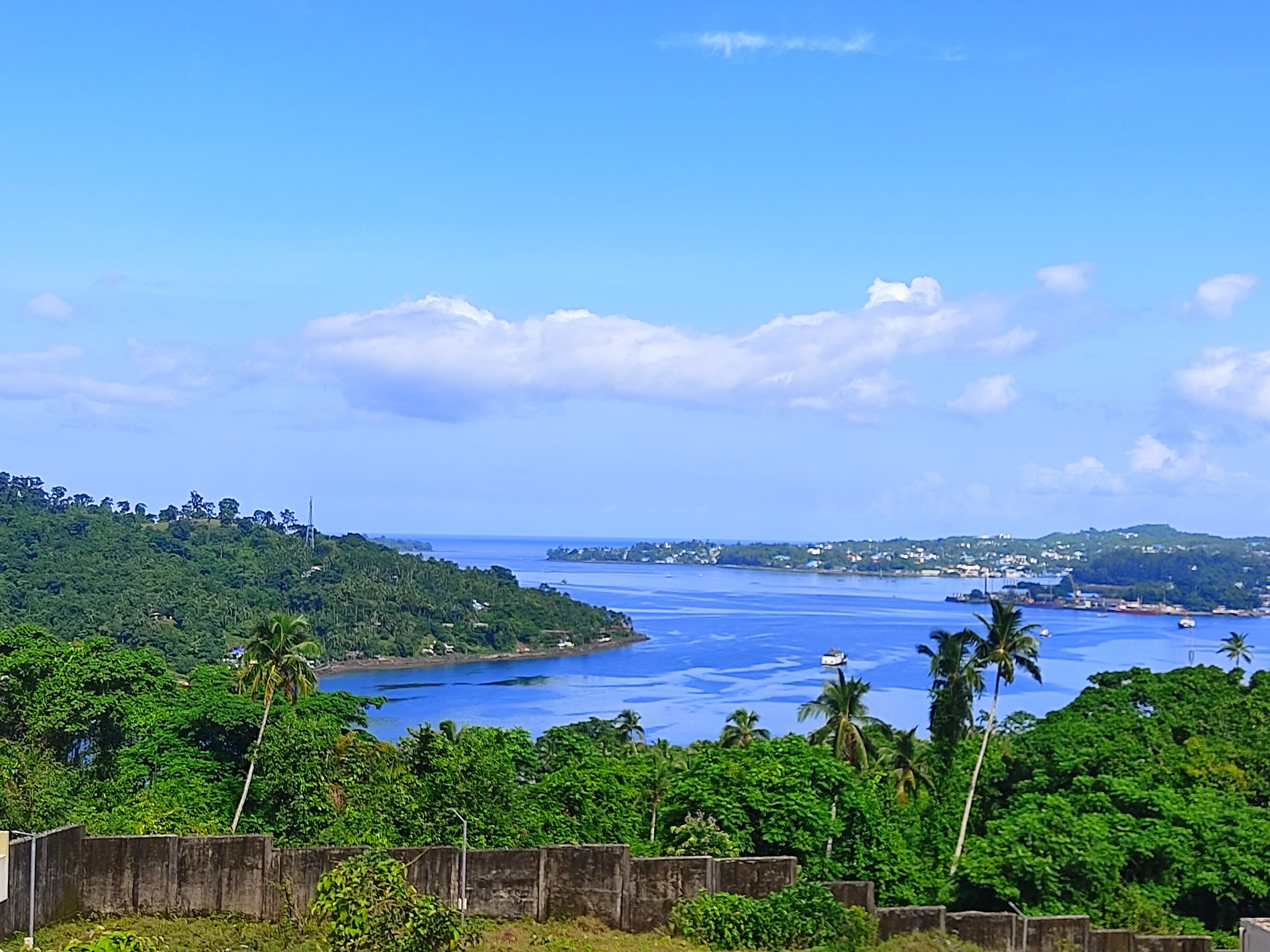 Why Great Nicobar Project is again in eye of storm | Tehelka